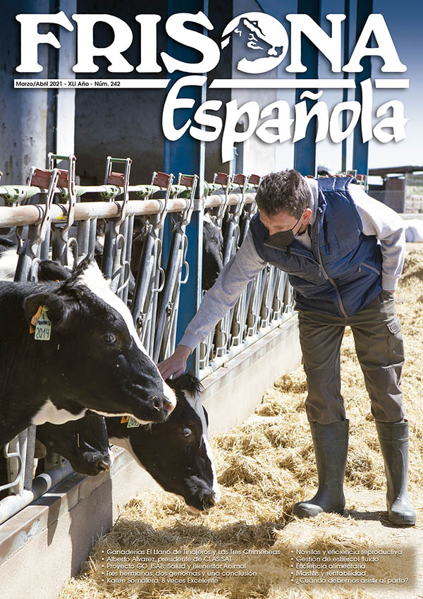 Ya disponible la revista Frisona Española nº 242